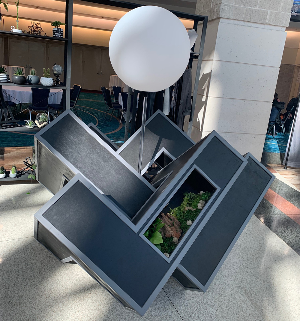 Indoor Plant Trends Coming At You In 2020 - Good Earth Plants