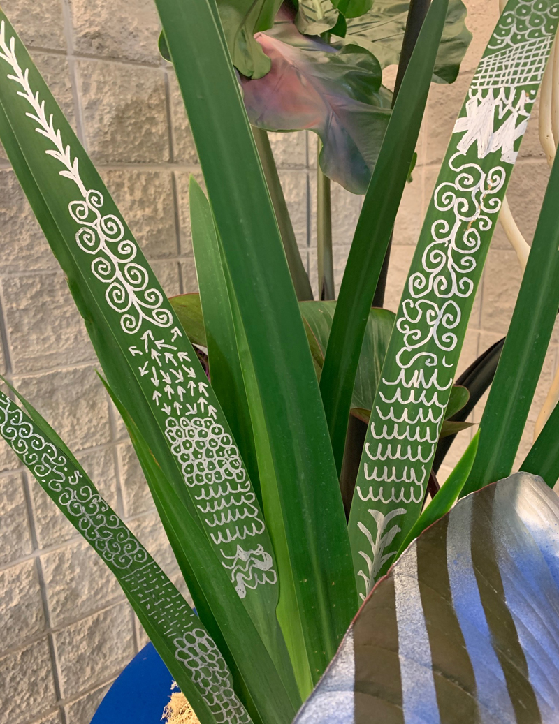 Indoor Plant Trends Coming At You In 2020 - Good Earth Plants