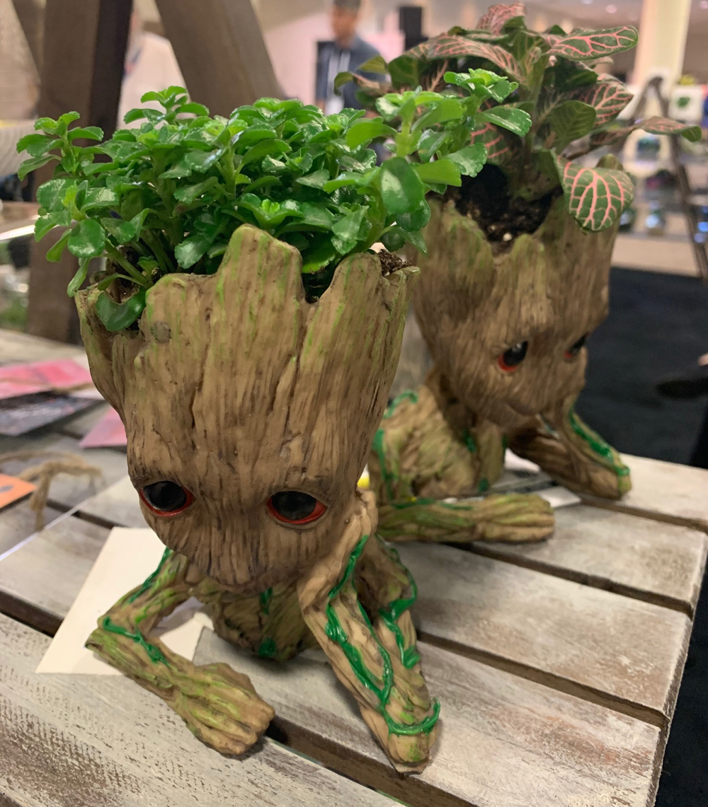 Party With Plants! – National Indoor Plant Week - Good Earth Plants