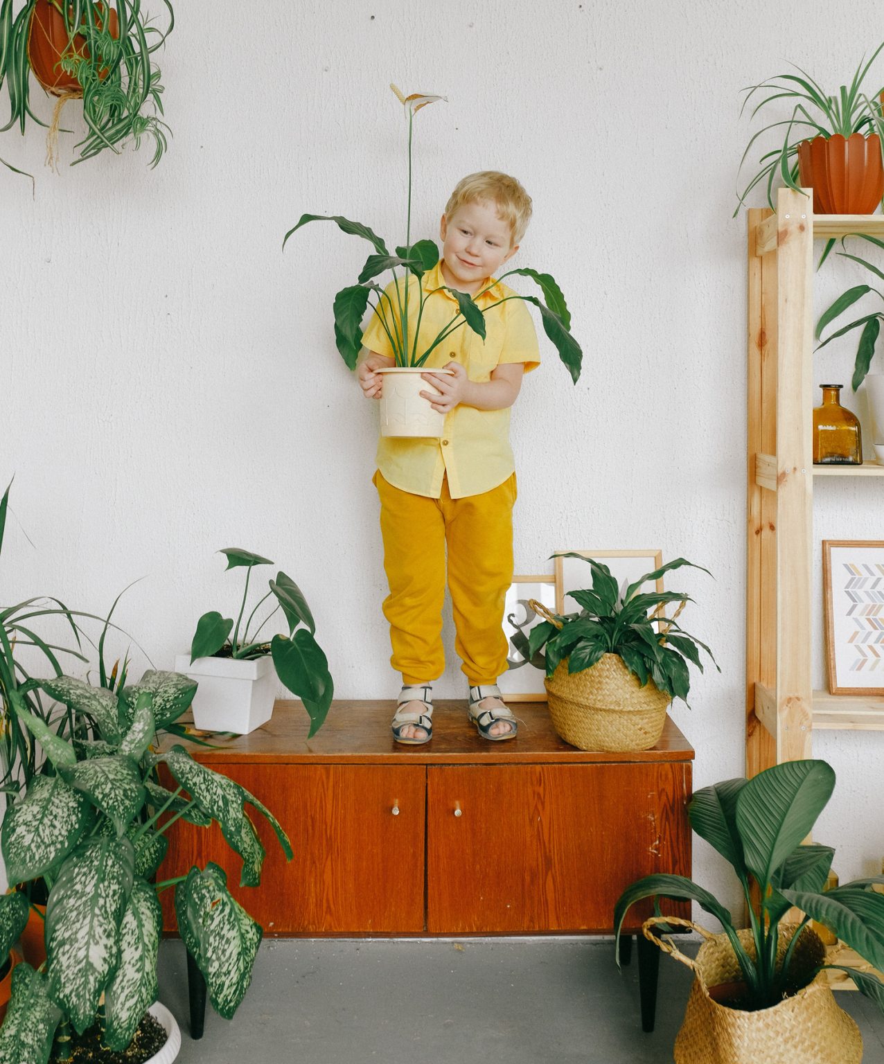 Time to Celebrate: It's National Indoor Plant Week - Good Earth Plants