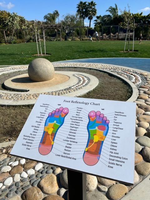 Stone as Biophilic Design: Why You Need It - Good Earth Plants