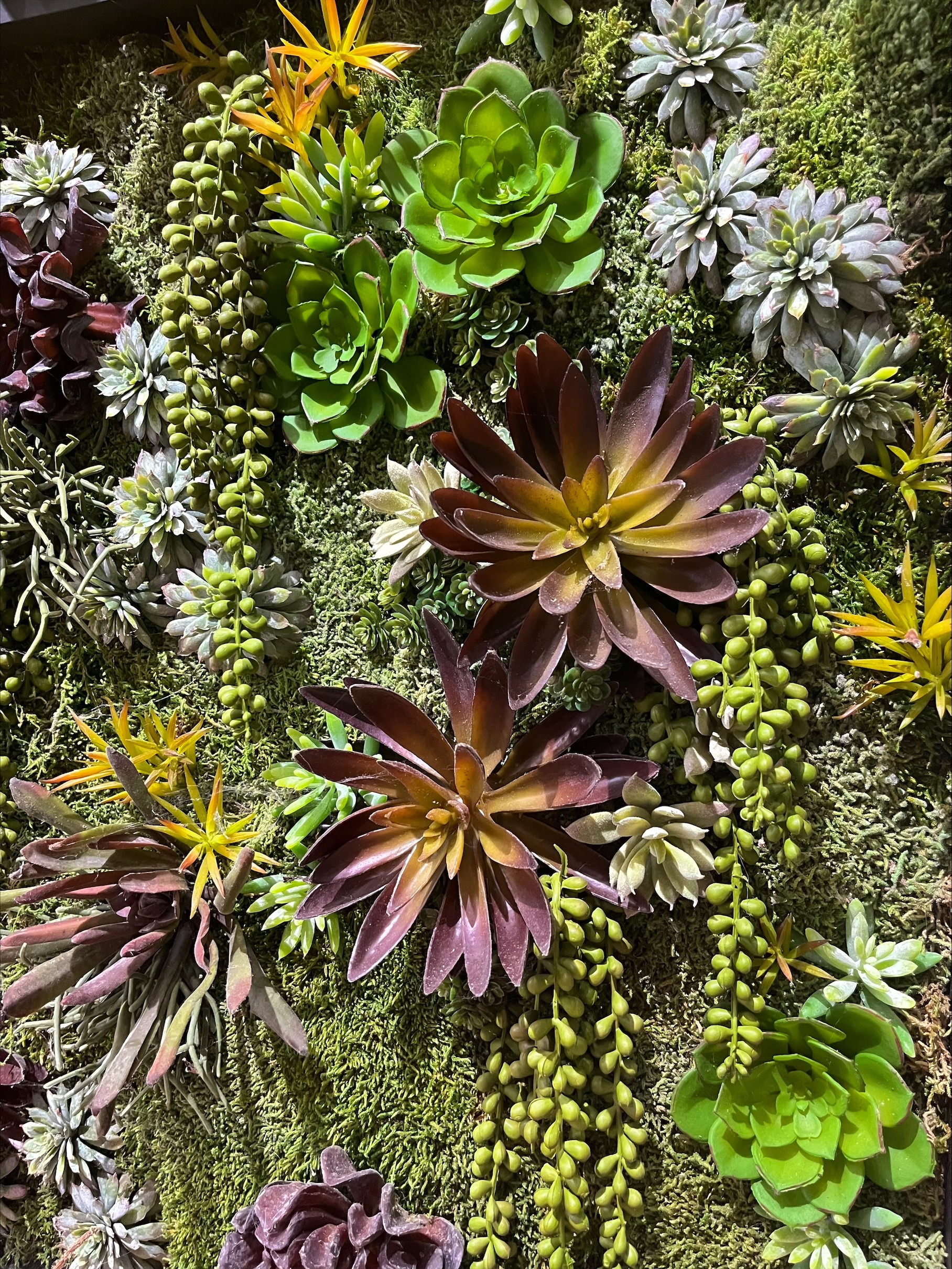 Close up shot of one of our artificial plant walls.
